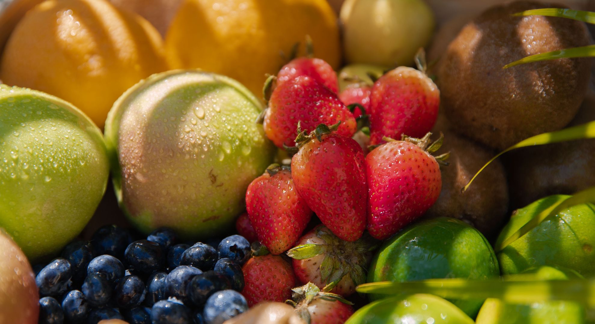 How Modern Food Spraying Automation Is Boosting Shelf Life in 2024 ...